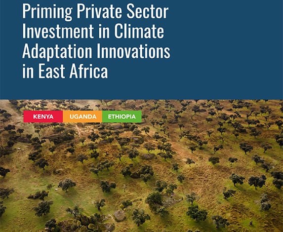 Priming Private Sector Investment in Climate Adaptation Innovations in ...